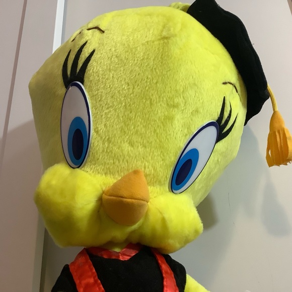 Warner Bros. | Toys | Tweedy Birds Stuffed Graduation Plus Looney Tunes ...